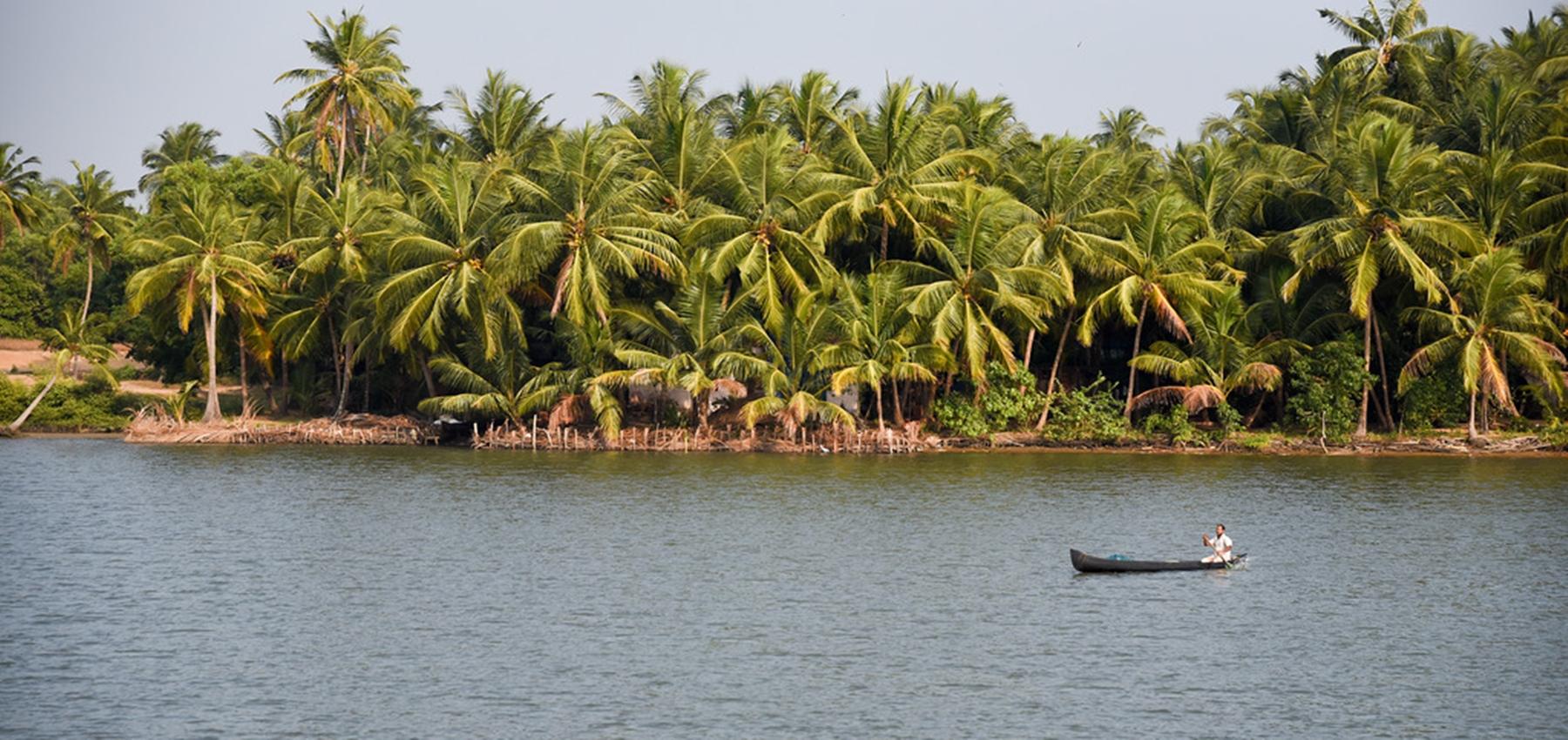 Nileshwar Backwaters, Nileshwar - Experience Kerala