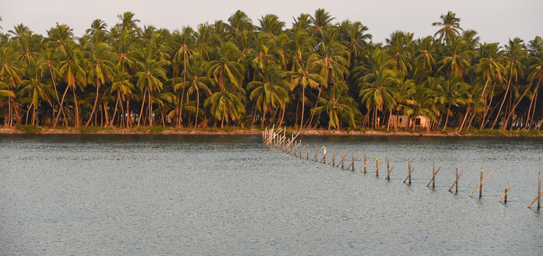 Nileshwar Backwaters, Nileshwar - Experience Kerala