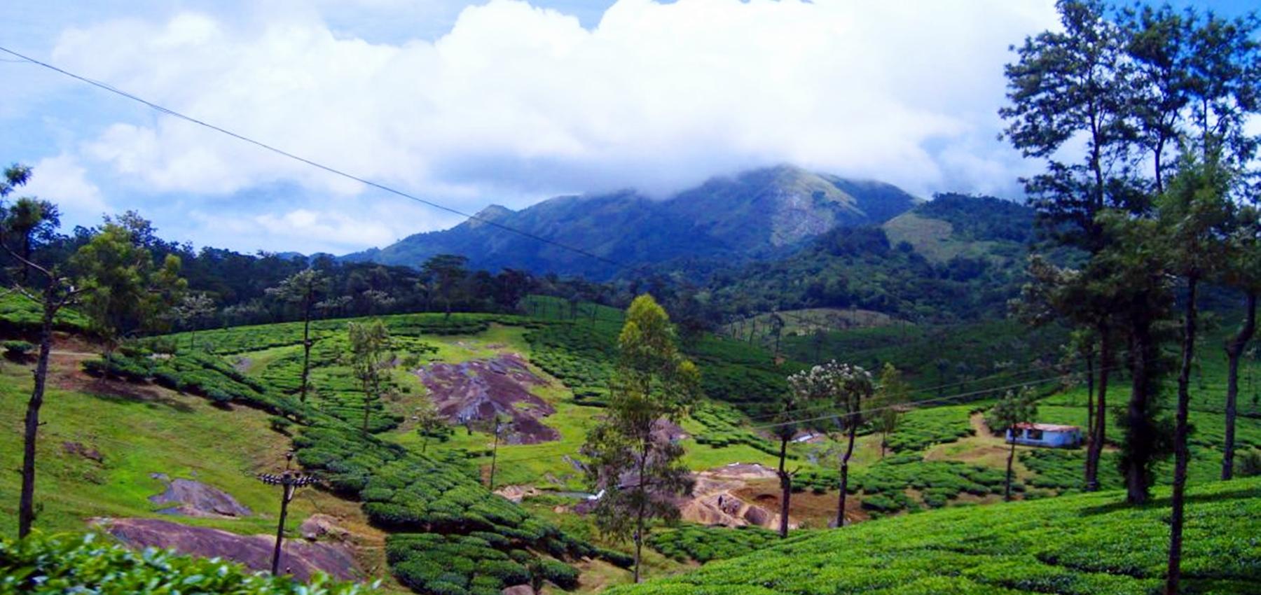 Nelliyampathy, Palakkad - Experience Kerala