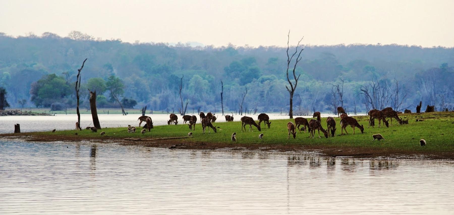 Kabini River, Wayanad - Experience Kerala