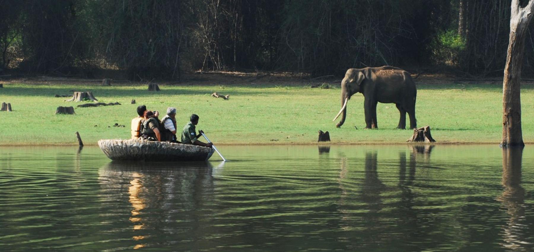 Kabini River, Wayanad - Experience Kerala