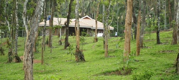 List of the best Farm Stay accommodations in Kerala! - Experience Kerala