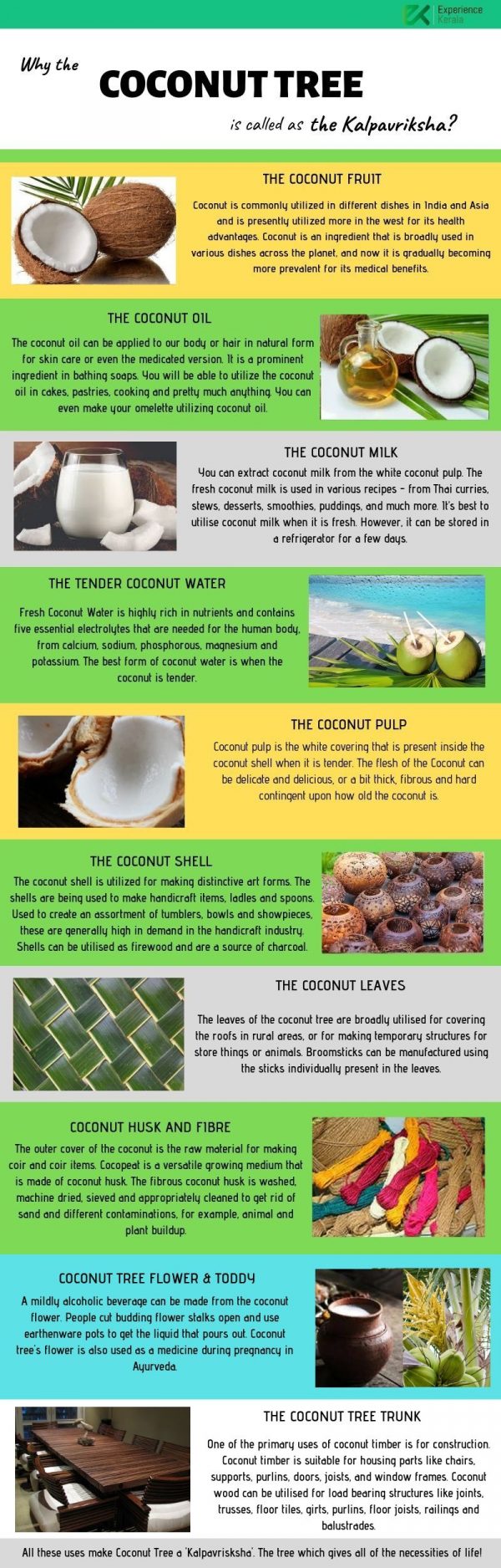 Uses of the Coconut Tree in different ways - The Kalpavrishkha