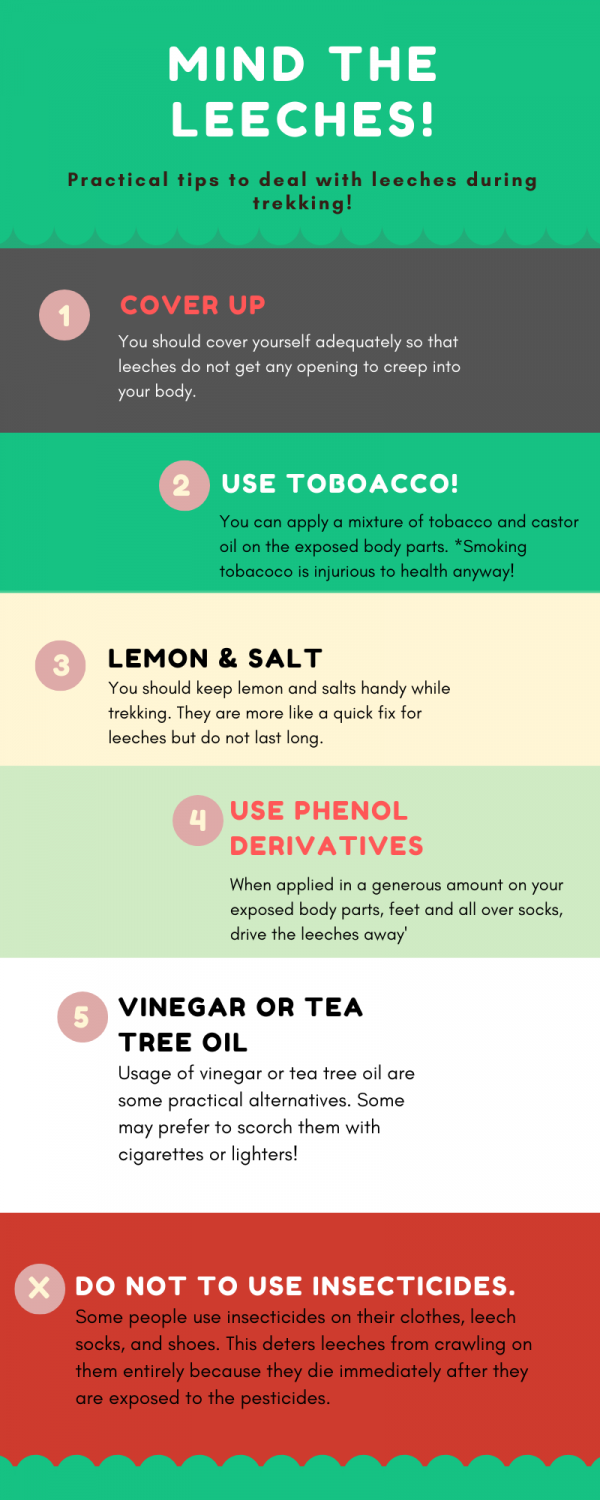 Ultimate Guide on How To Deal With Leeches During Trekking and Hiking