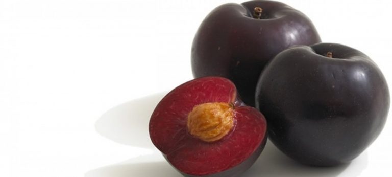 16 Most Favorite Homegrown Fruits in Kerala that you should NOT miss!