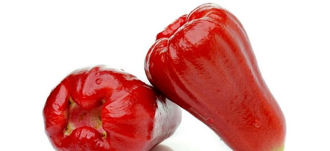 16 Most Favorite Homegrown Fruits in Kerala that you should NOT miss!