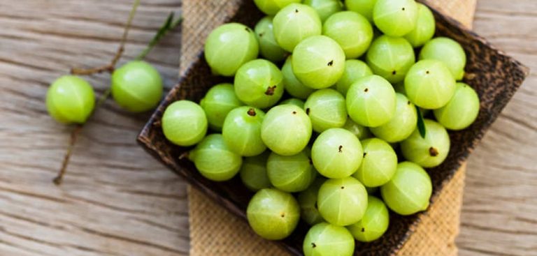 16 Most Favorite Homegrown Fruits in Kerala that you should NOT miss!