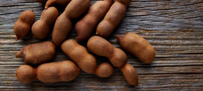 16 Most Favorite Homegrown Fruits in Kerala that you should NOT miss!