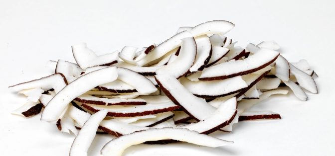 Uses of the Coconut Tree in different ways - The Kalpavrishkha