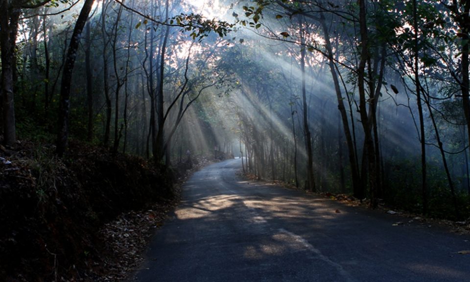 Gavi- The Road Less Travelled & The Real Forest Experience for You ...