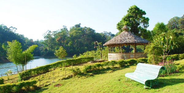 Gavi- The Road Less Travelled & The Real Forest Experience for You ...